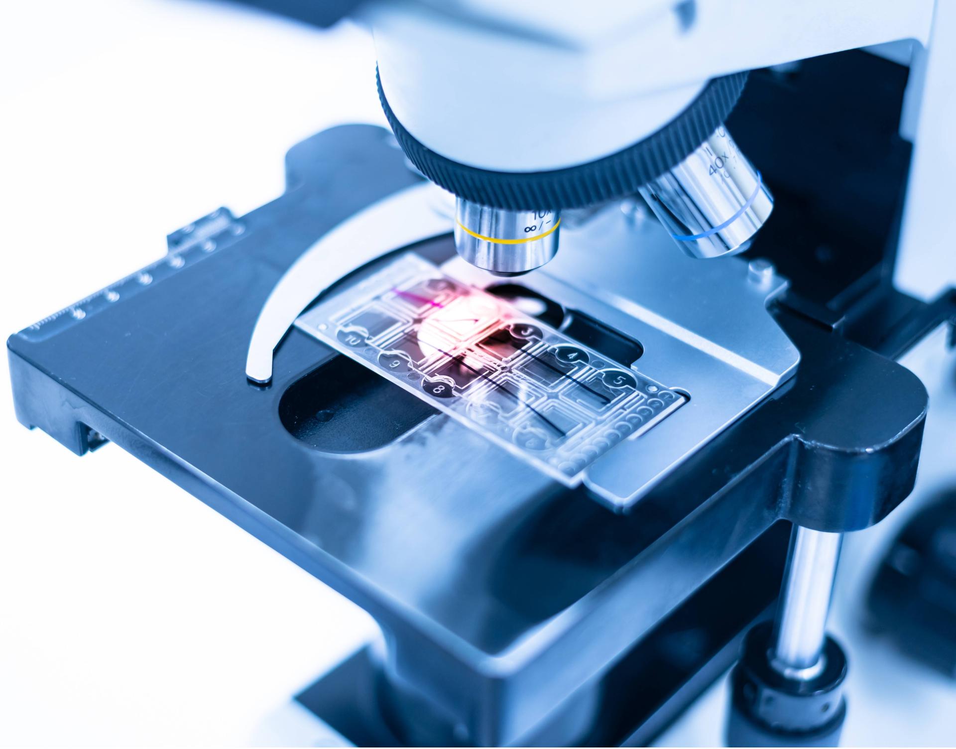 URINE CYTOLOGY EXAMINATION | Alpha Prolipsis